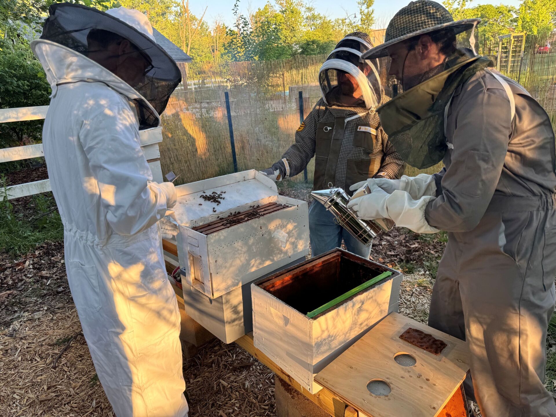 St. C’s Bees: A Buzzing New Ministry at St. Christopher’s - The ...